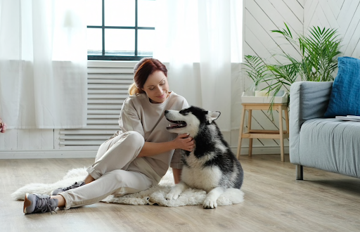 Dogs Need Detoxing Too: 10 Important Dog Detox Tips for Better Health ...